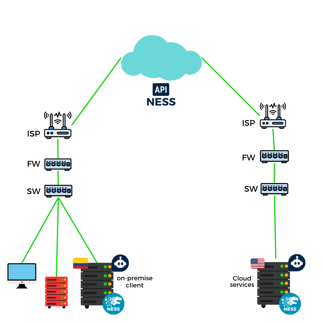 ¿Qué es Ness? - NESS hq